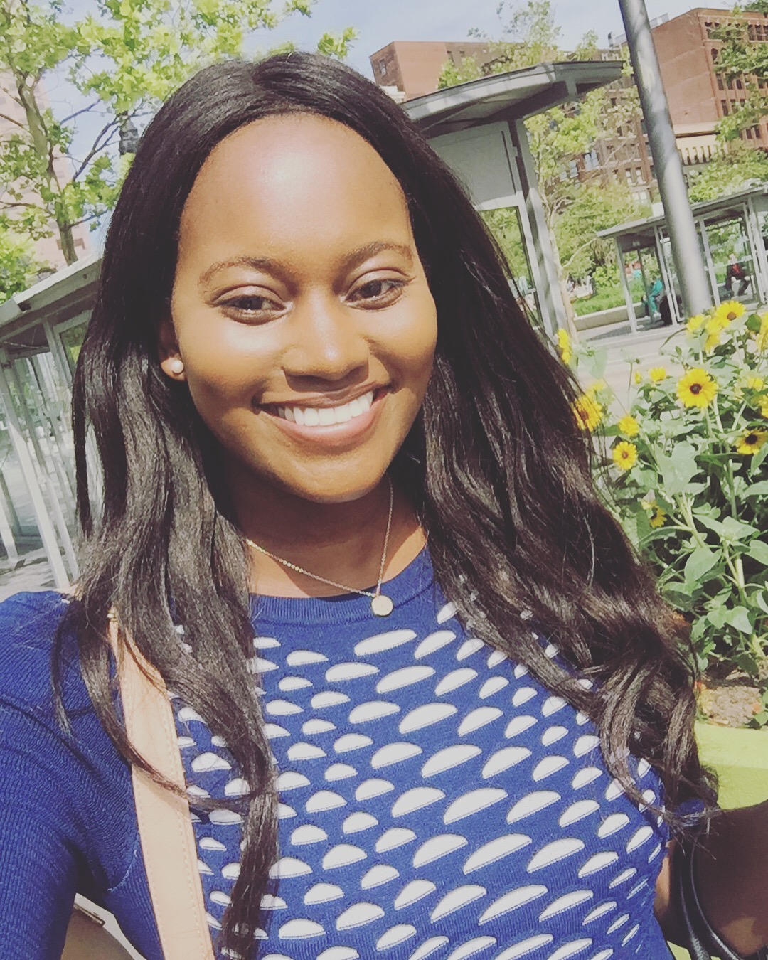 Checkers or Chess – A. N. Smith